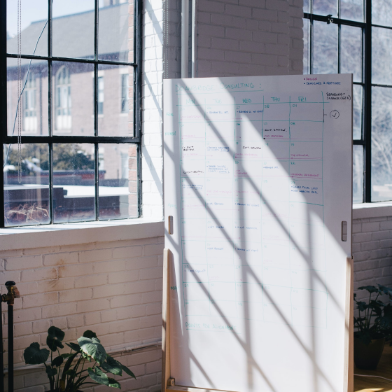 The Migration Company